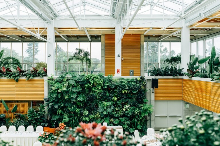 How to use plants to create epic workspace