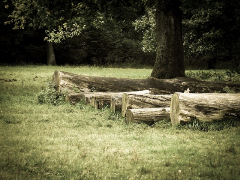 UK sustainable timber industry construction